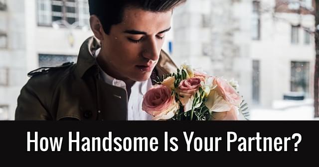 How Handsome Is Your Partner? | RocketQuizzes